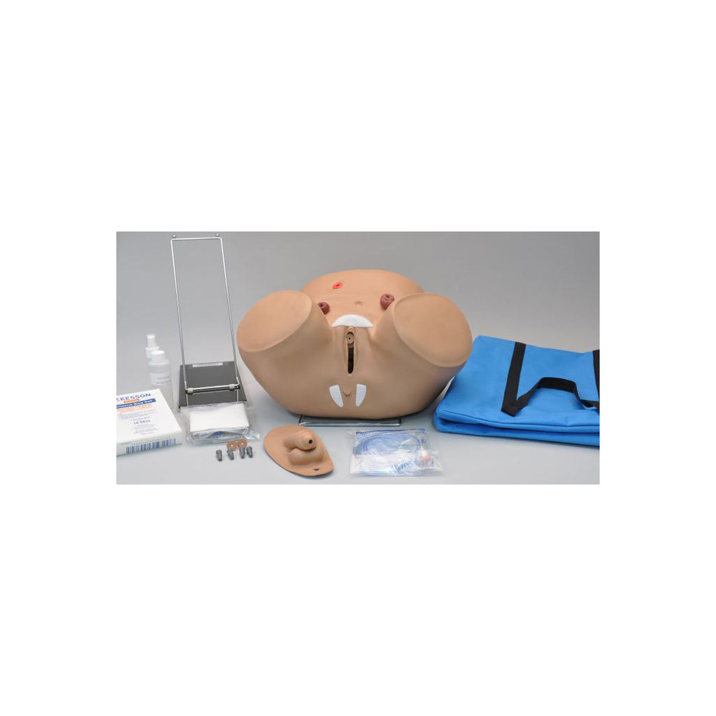 Catheterisation — Health Simulation