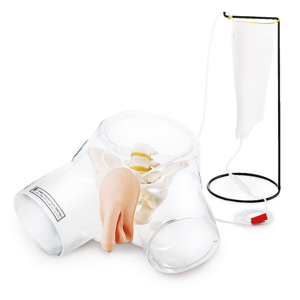 Catheterisation — Health Simulation