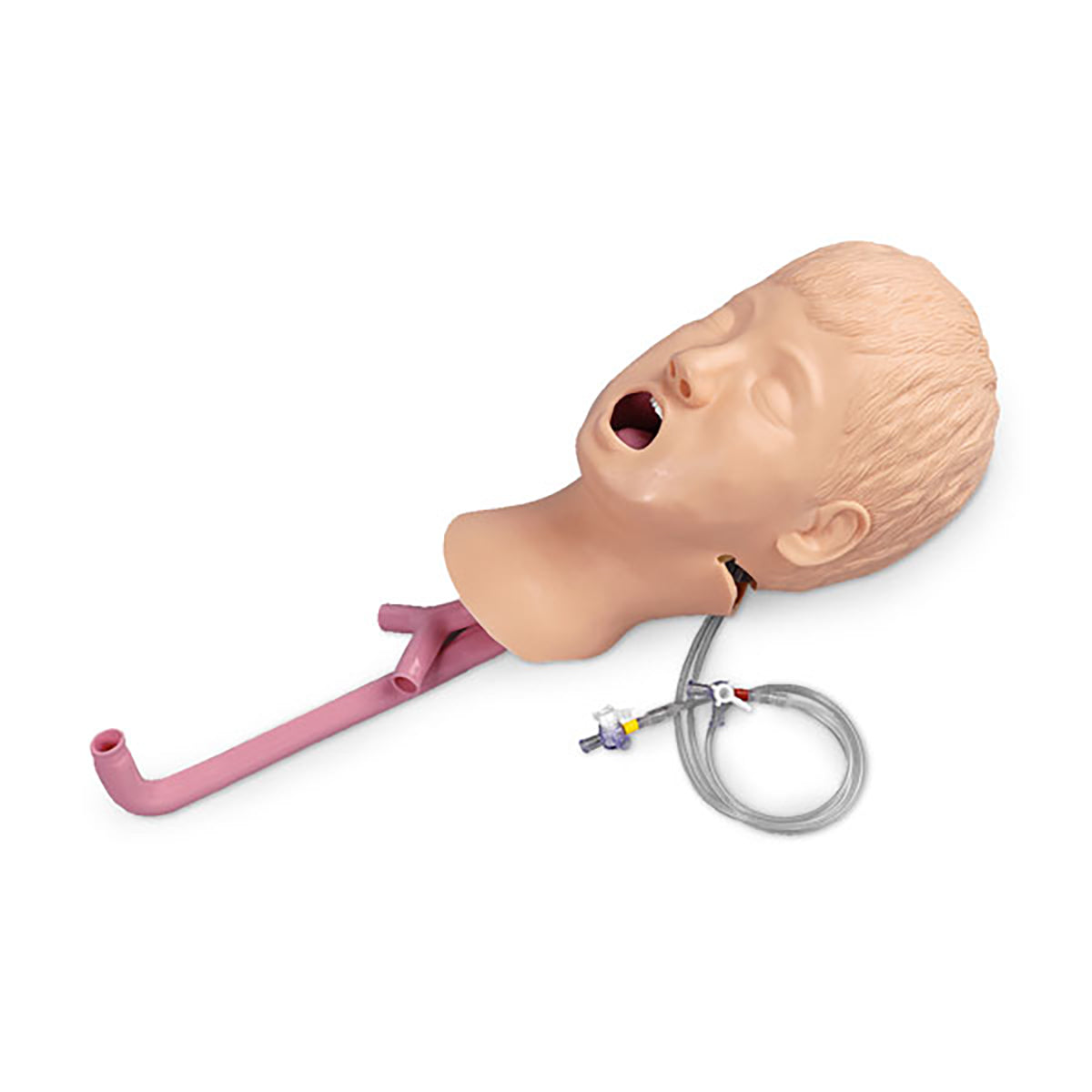 Child Airway Management Trainer Head with Lungs and Stomach — Health ...