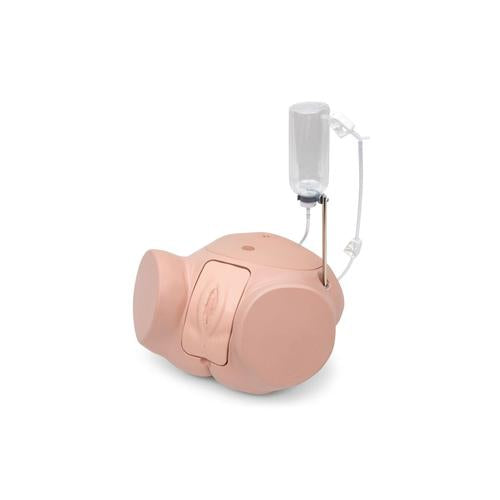 Catheterization simulator PRO, Male — Health Simulation