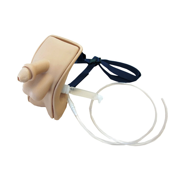 Catheterisation — Health Simulation
