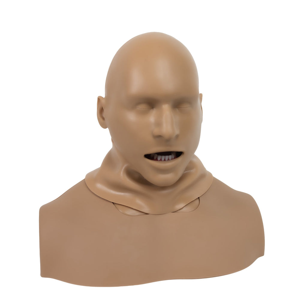Adult Airway Manikin — Health Simulation