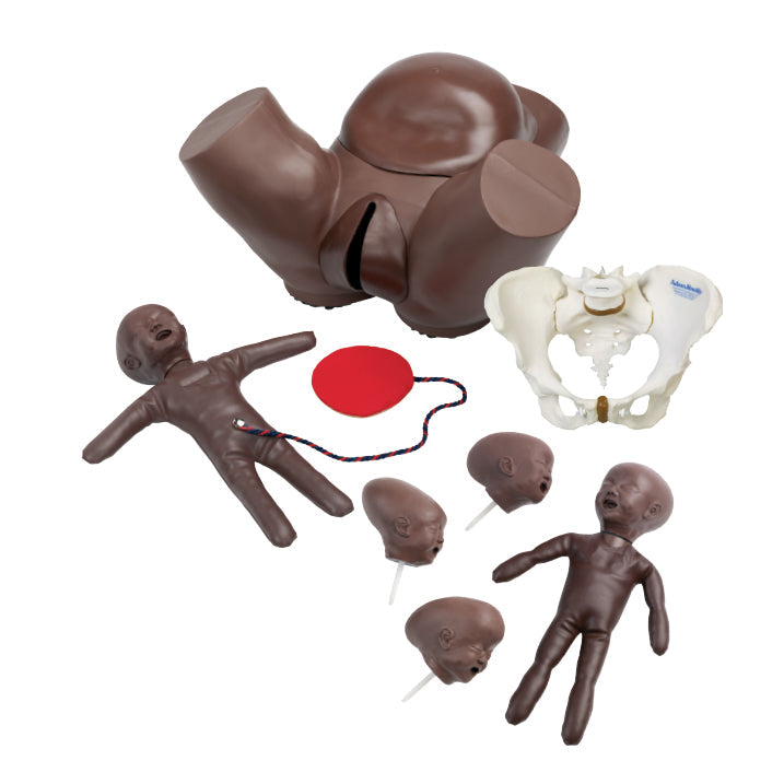 Obstetric Phantom Set, Dark — Health Simulation