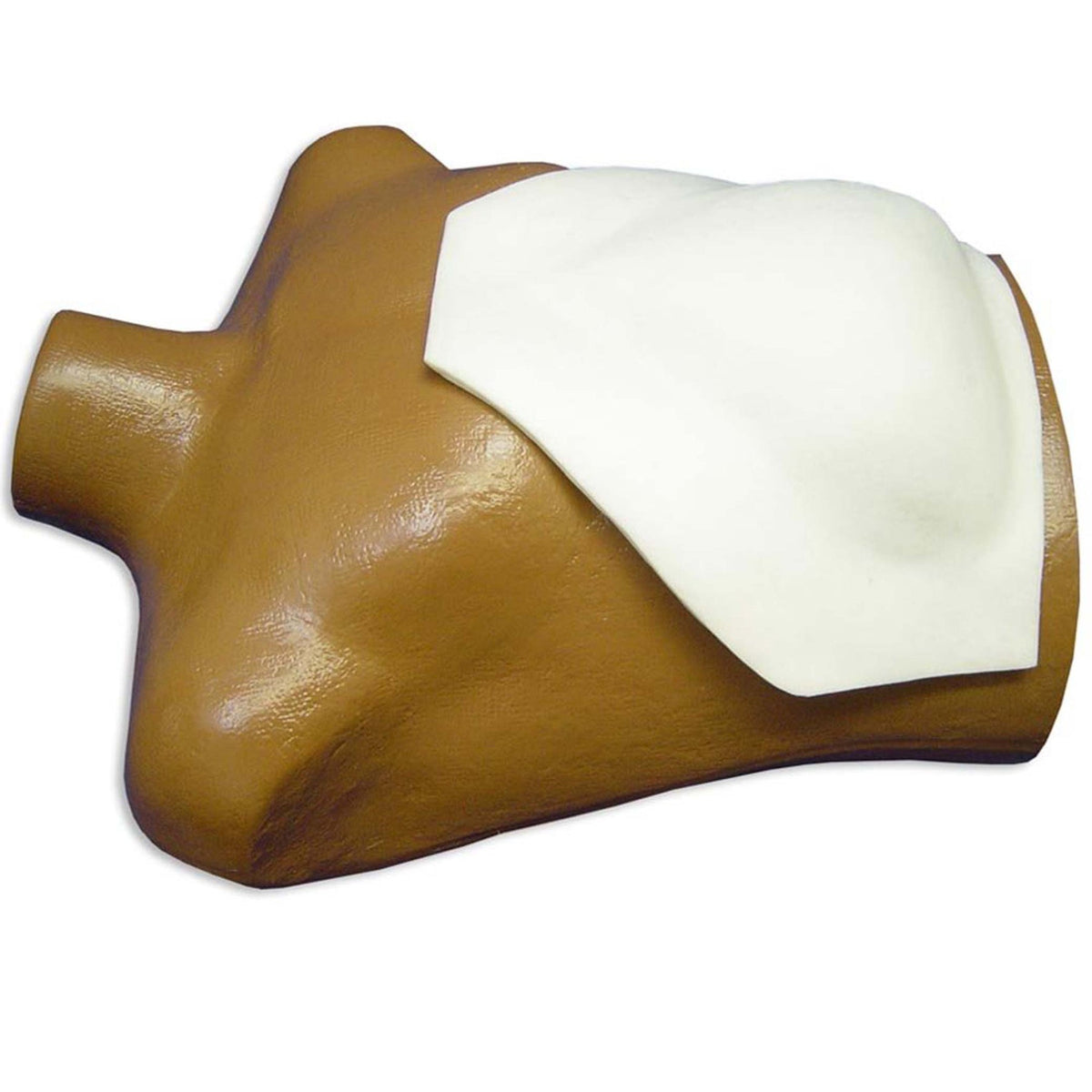 Torso Trainer — Health Simulation